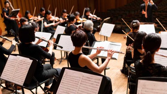 Meet the Orchestra: Understanding the Instruments and Sections - Tutan ...