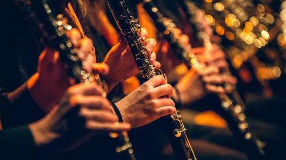 Meet the Orchestra: Understanding the Instruments and Sections - Tutan ...