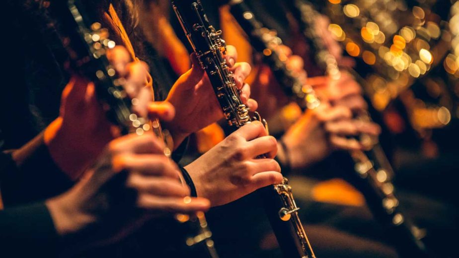 Meet the Orchestra: Understanding the Instruments and Sections - Tutan ...